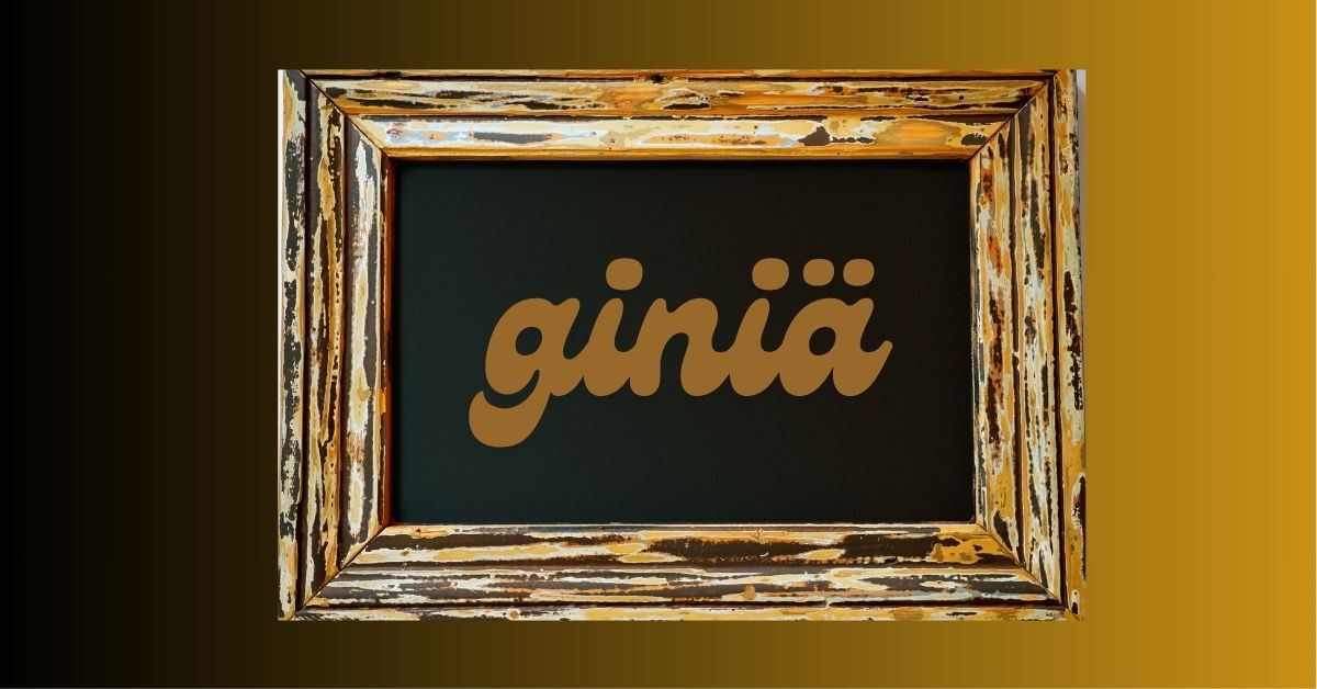 Giniä: Measuring Wealth Distribution in Society